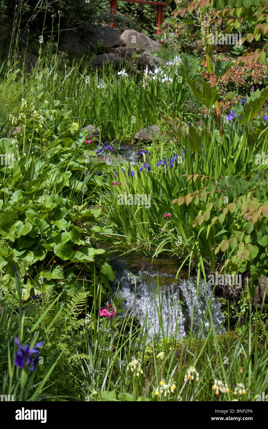 Waterfall in the Royal Botanic Gardens, Edinburgh, Scotland Stock Photo ...