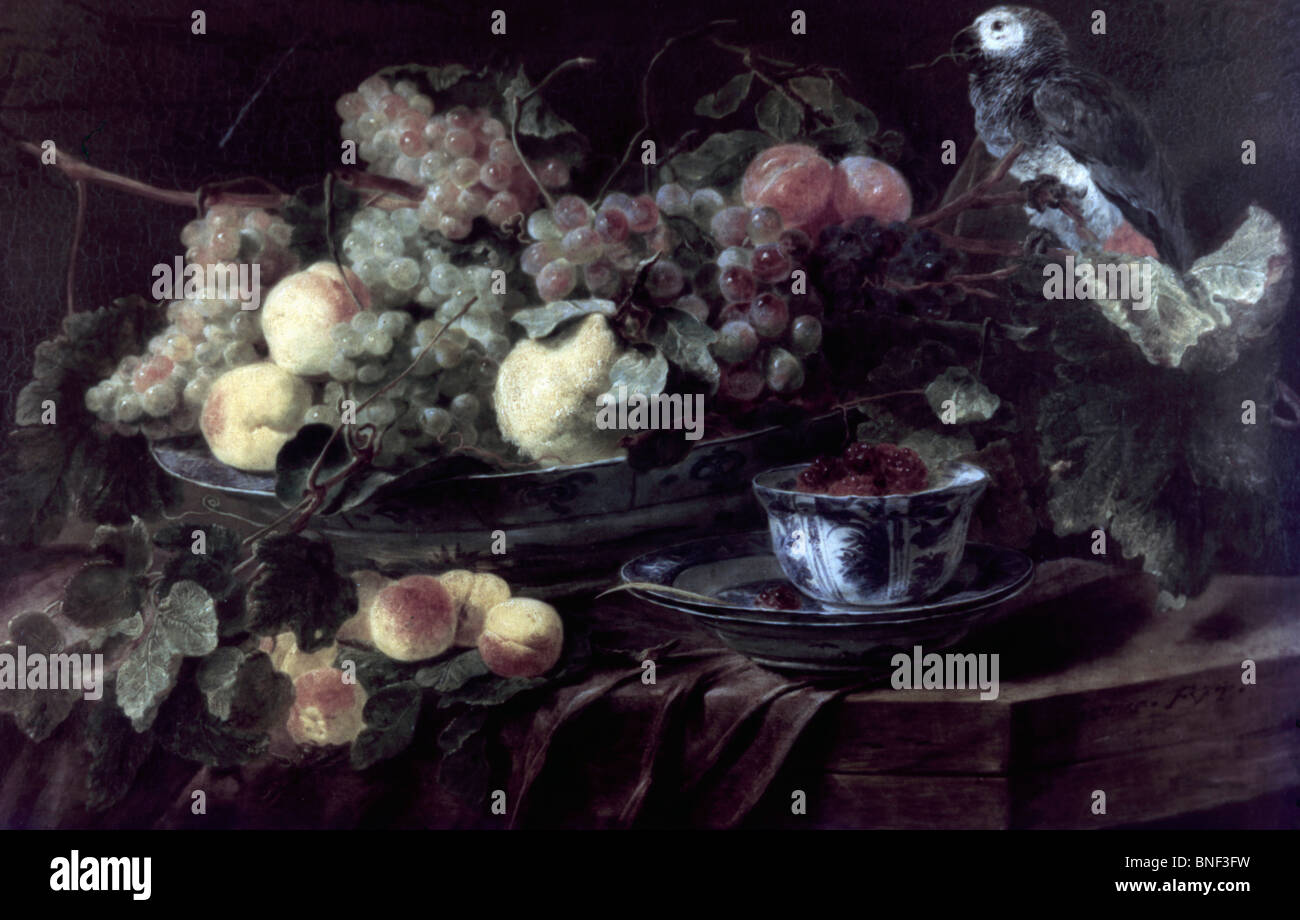 Still life with parrot hi-res stock photography and images - Alamy