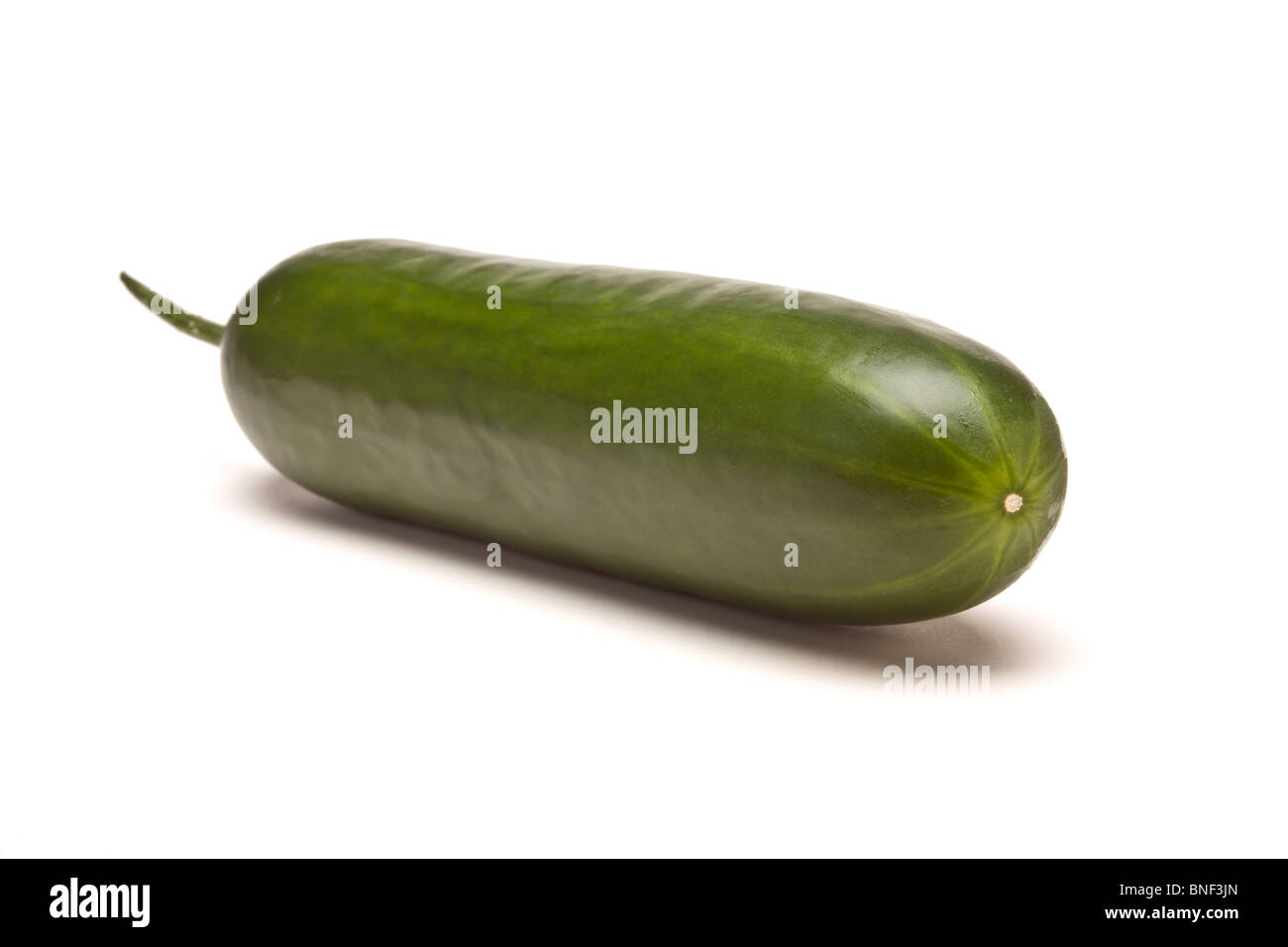 Whole Cucumber from low perspective isolated against white background ...