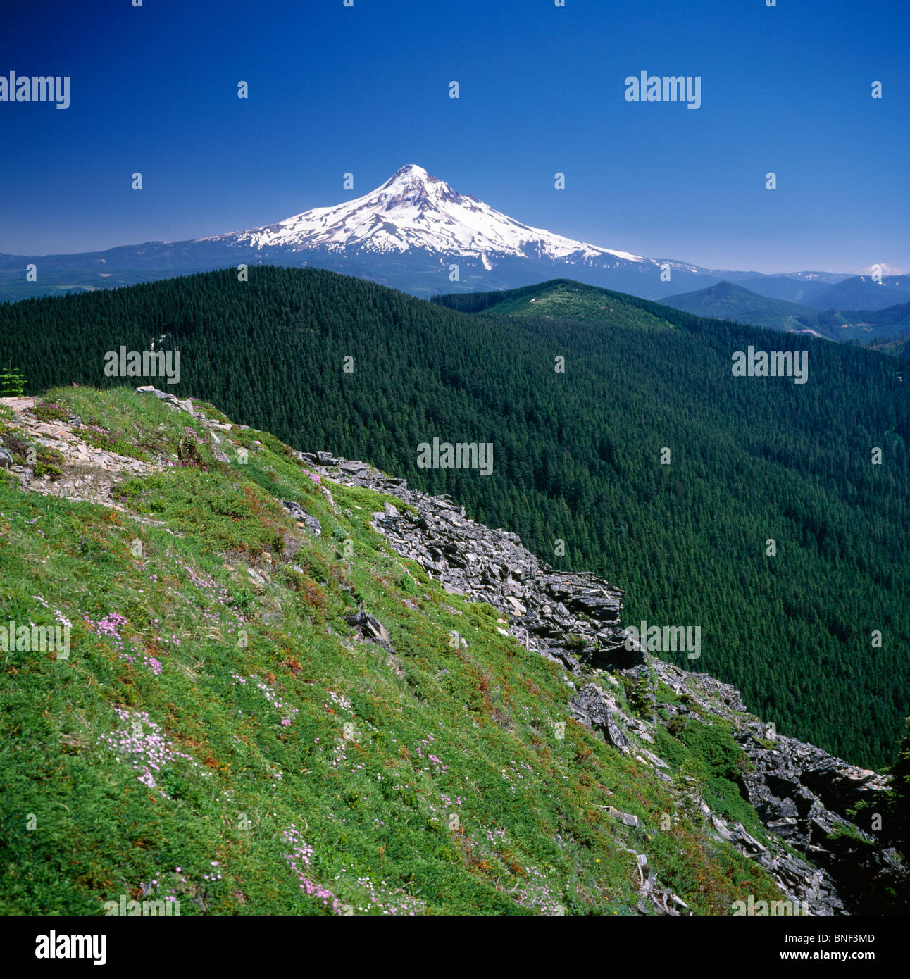 Panoramic view of mountains, Mt Hood, Mt Hood National Park, Oregon ...