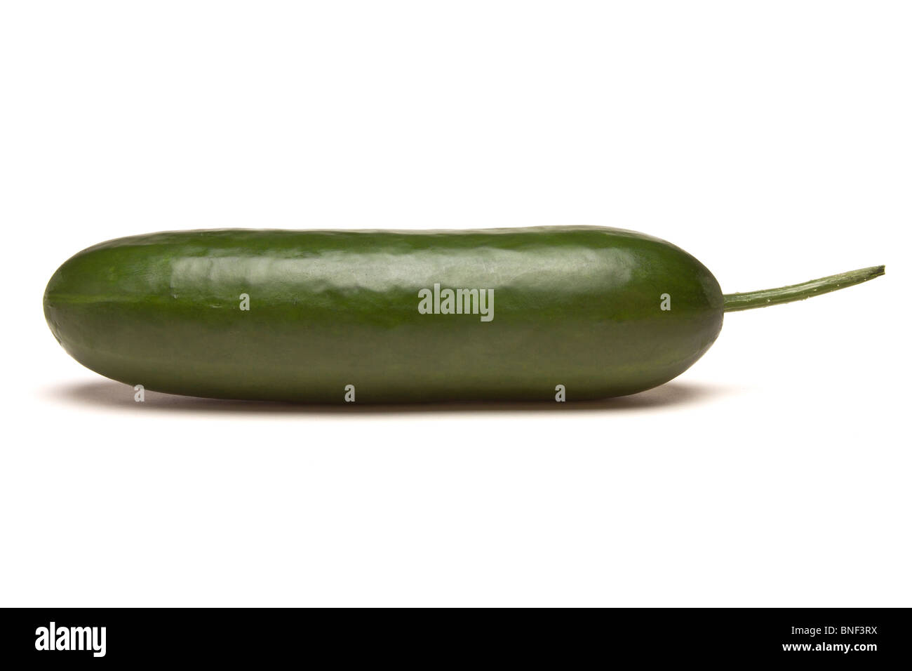 Whole Cucumber from low perspective isolated against white background ...