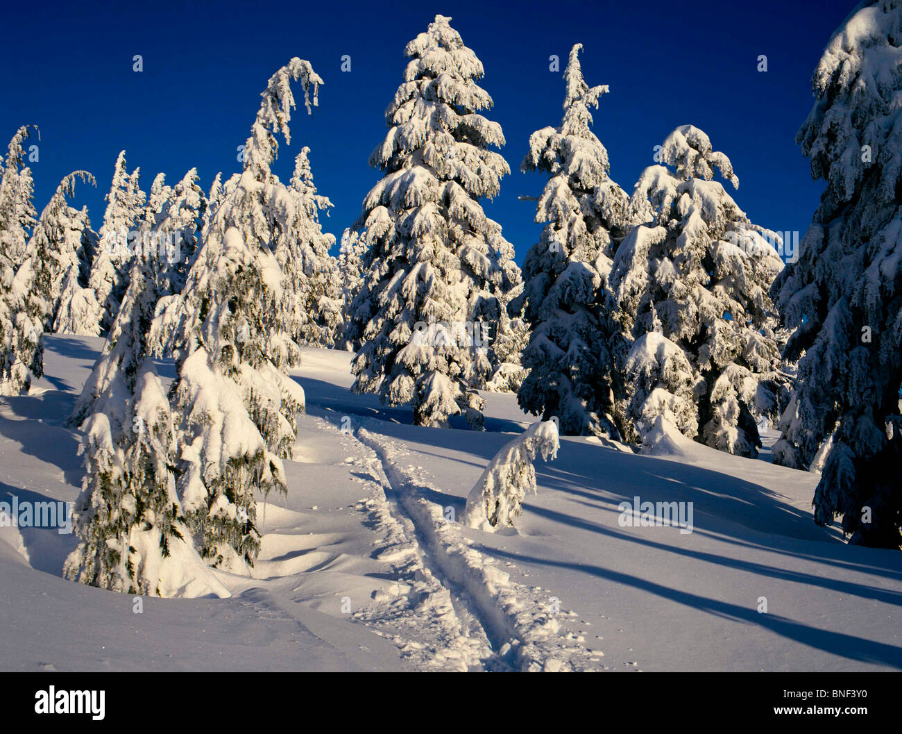 Mt hood snow ski hi-res stock photography and images - Alamy