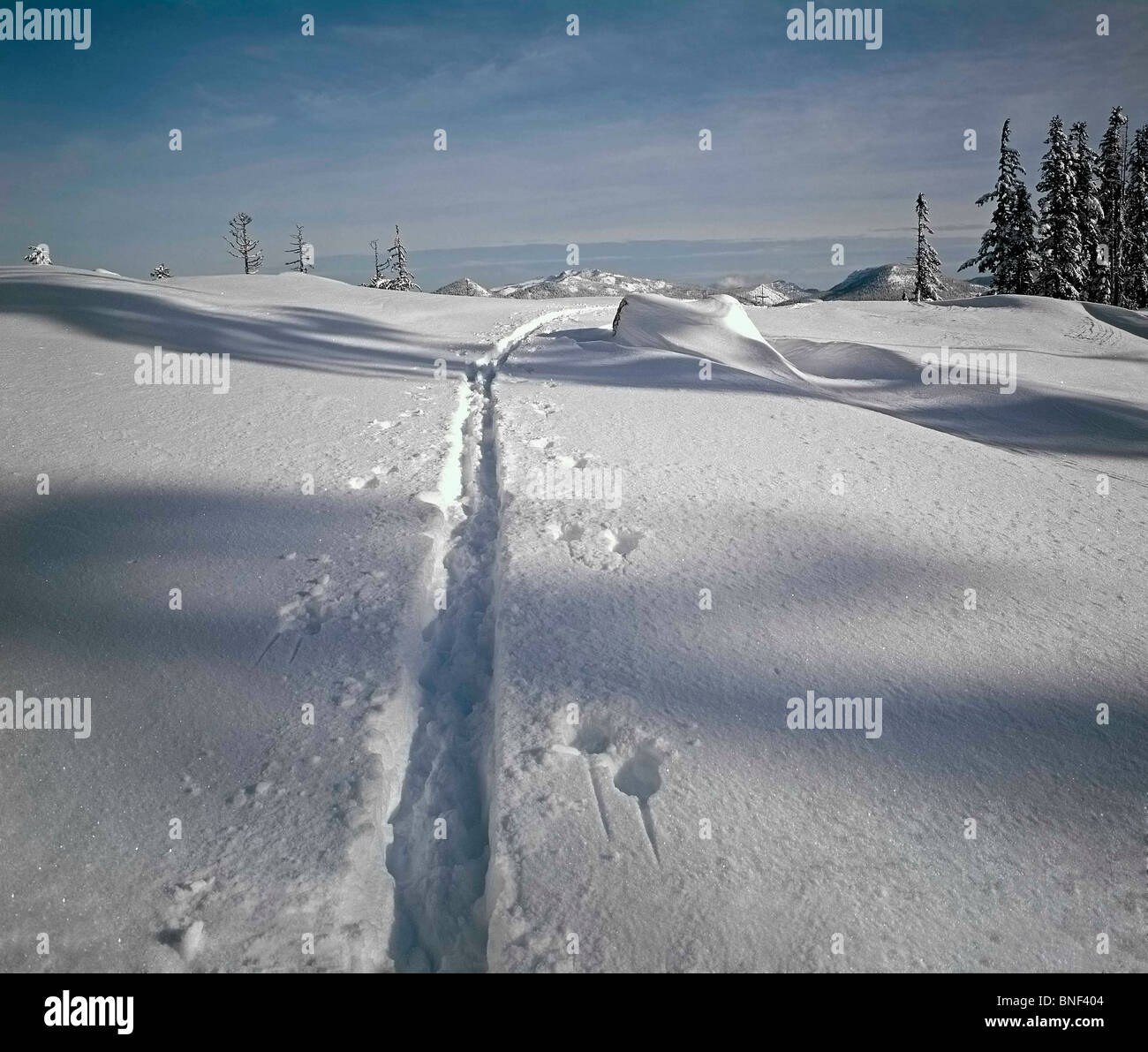 Barlow pass oregon hi-res stock photography and images - Alamy