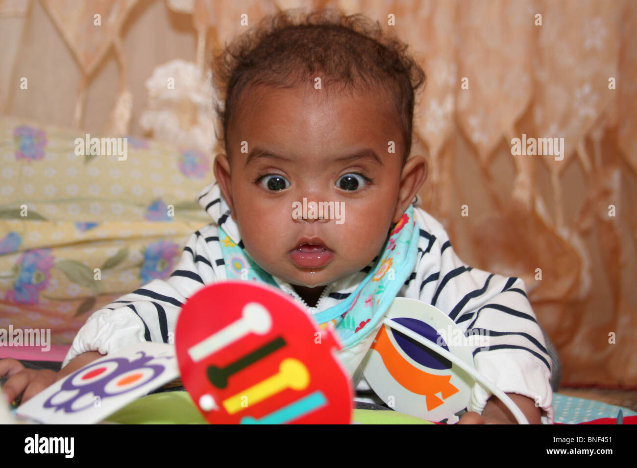Six-month-old baby girl Stock Photo - Alamy