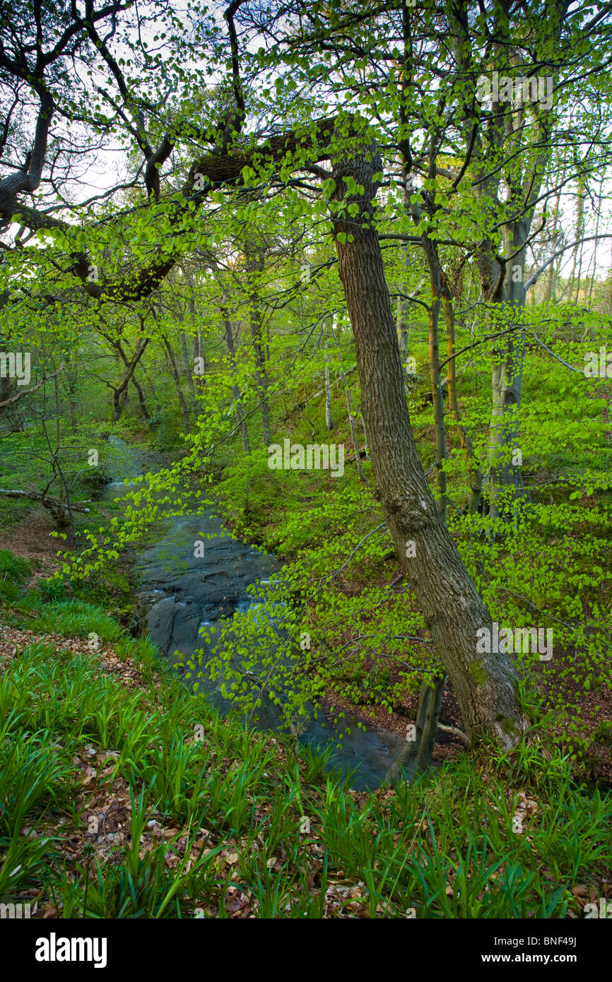 4 season seasons hi-res stock photography and images - Alamy