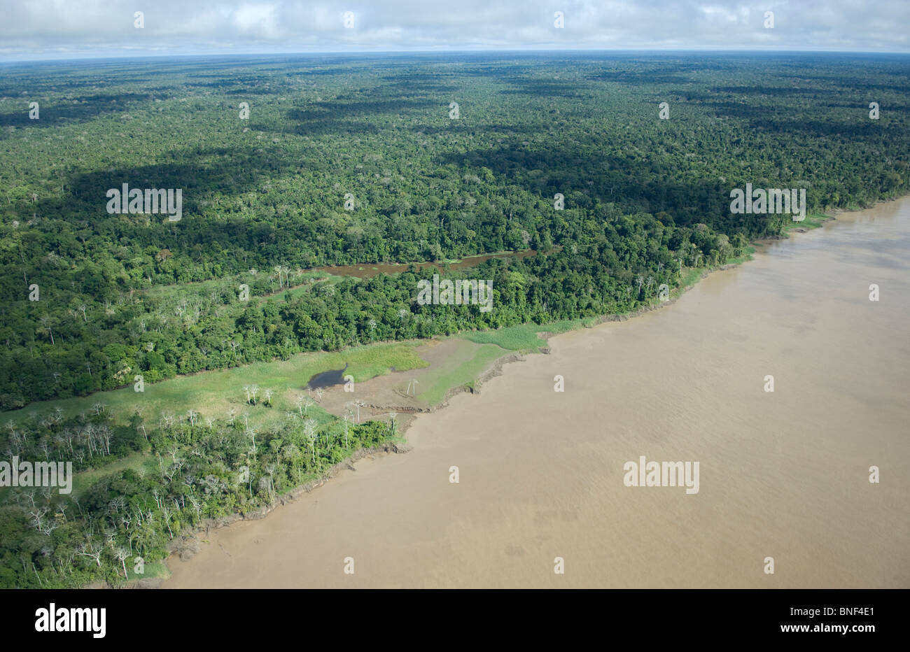 Aerial view of a floodplain forest, Ucayali River, Loreto Region, Peru ...