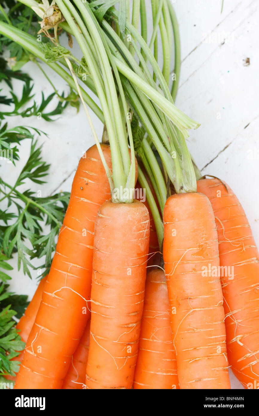 Fresh organic carrots Stock Photo - Alamy