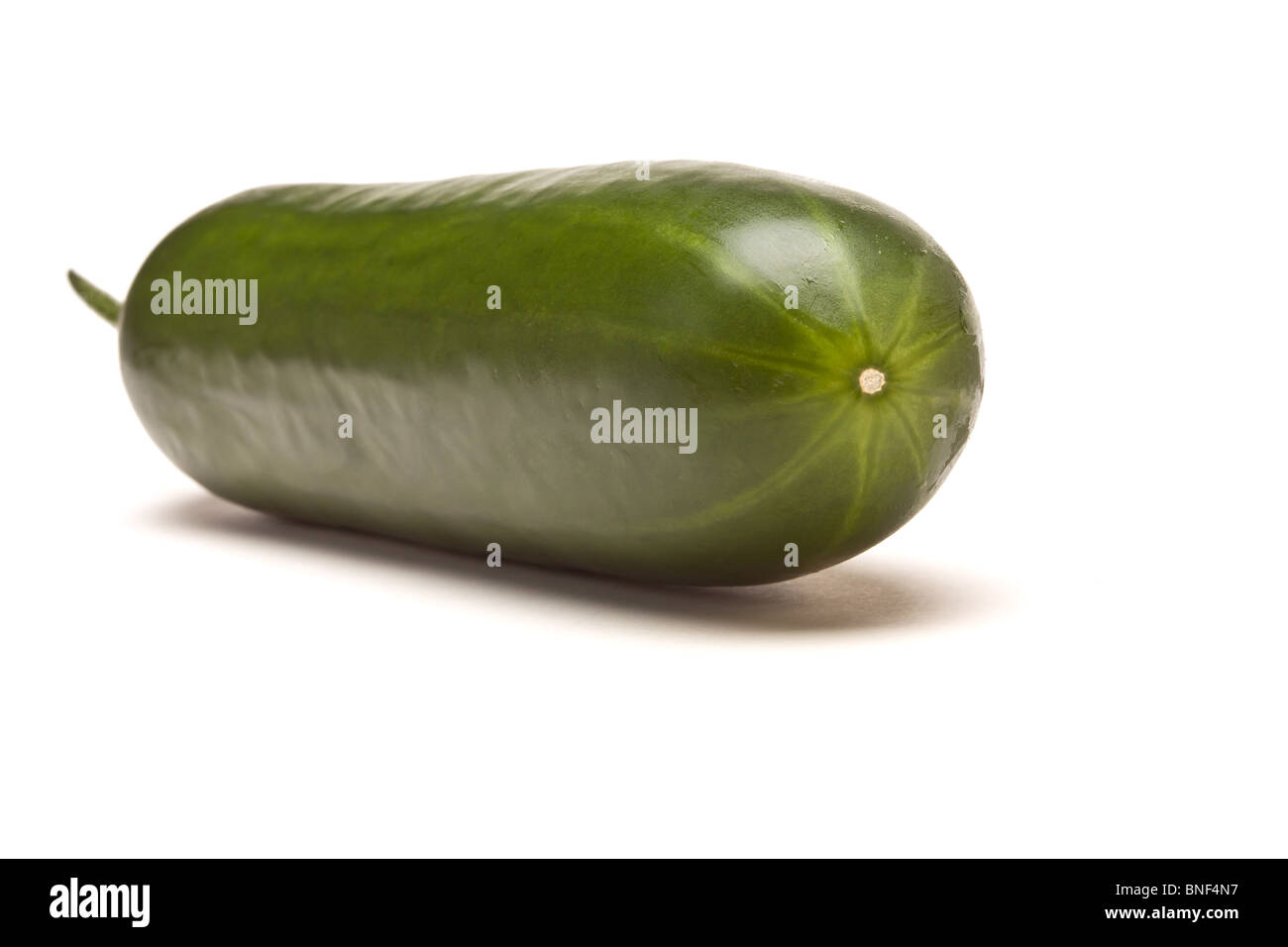 Whole Cucumber from low perspective isolated against white background ...