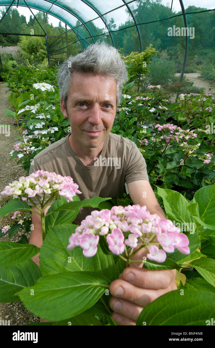 Pan global plants uk hi-res stock photography and images - Alamy
