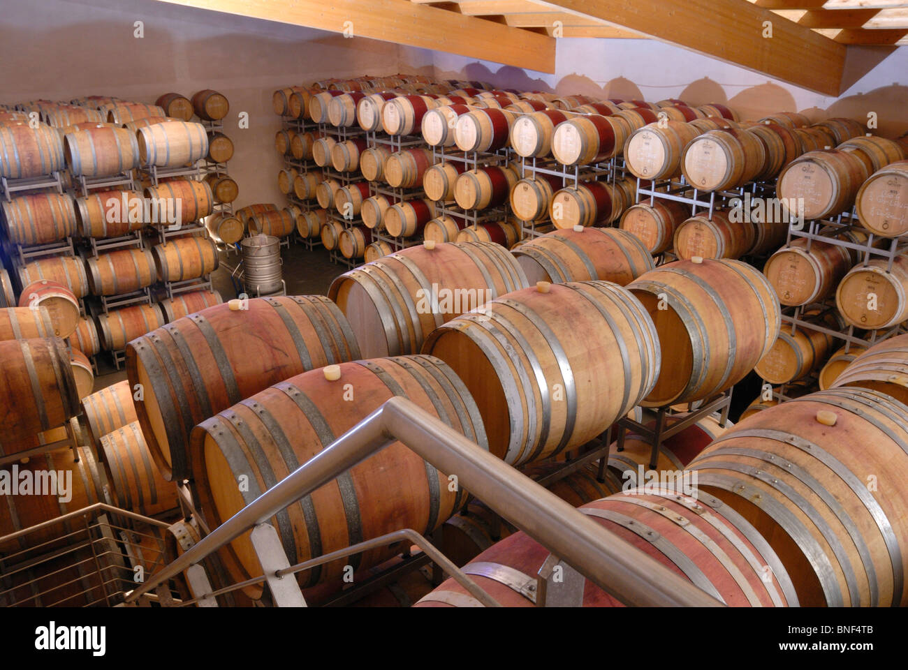 cellar of a winery, oak barrels, Germany, Rhineland-Palatinate ...