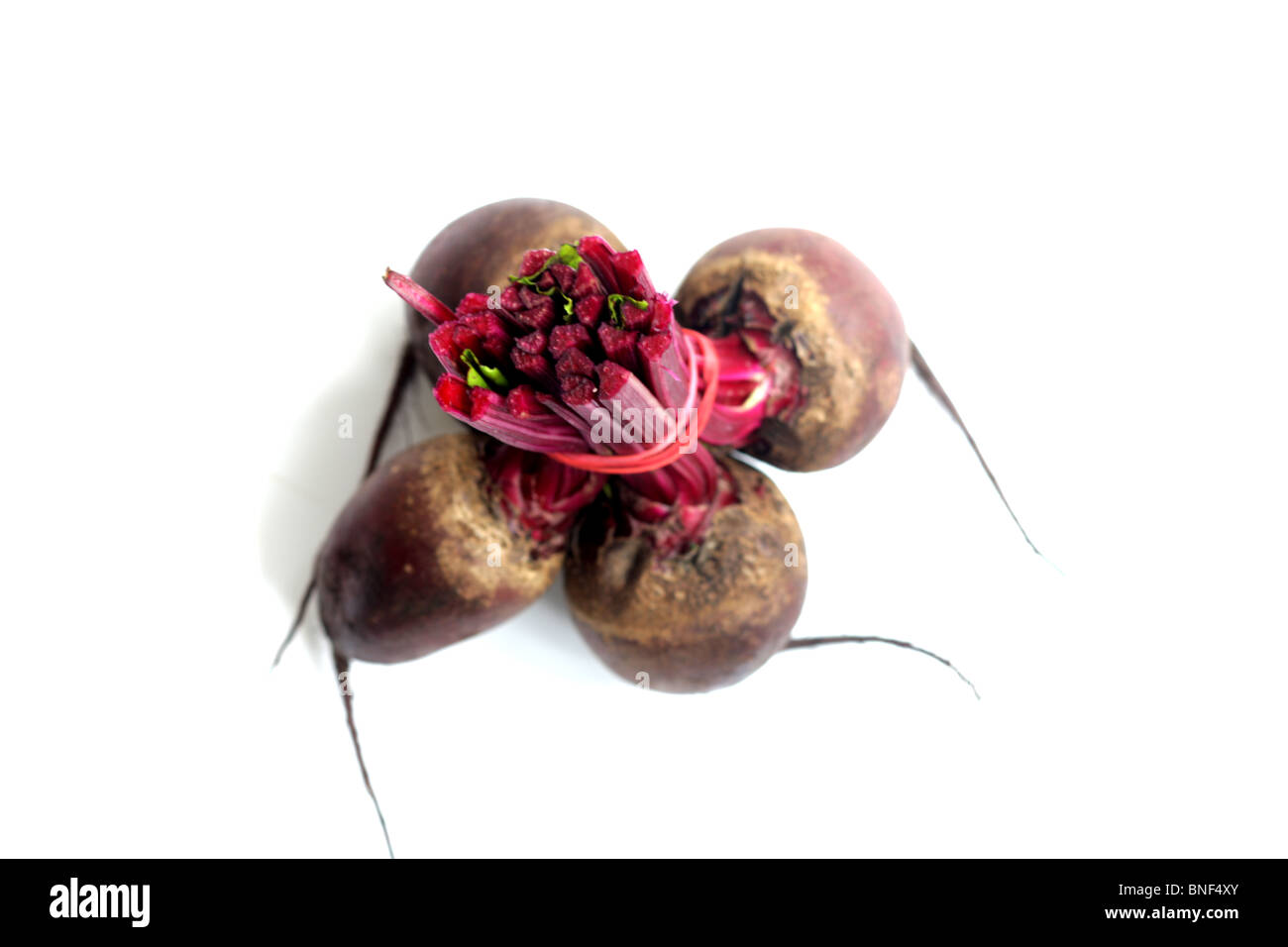 Bunch Of Healthy Ripe Beetroot Root Crop Ready To Cook Against A White ...