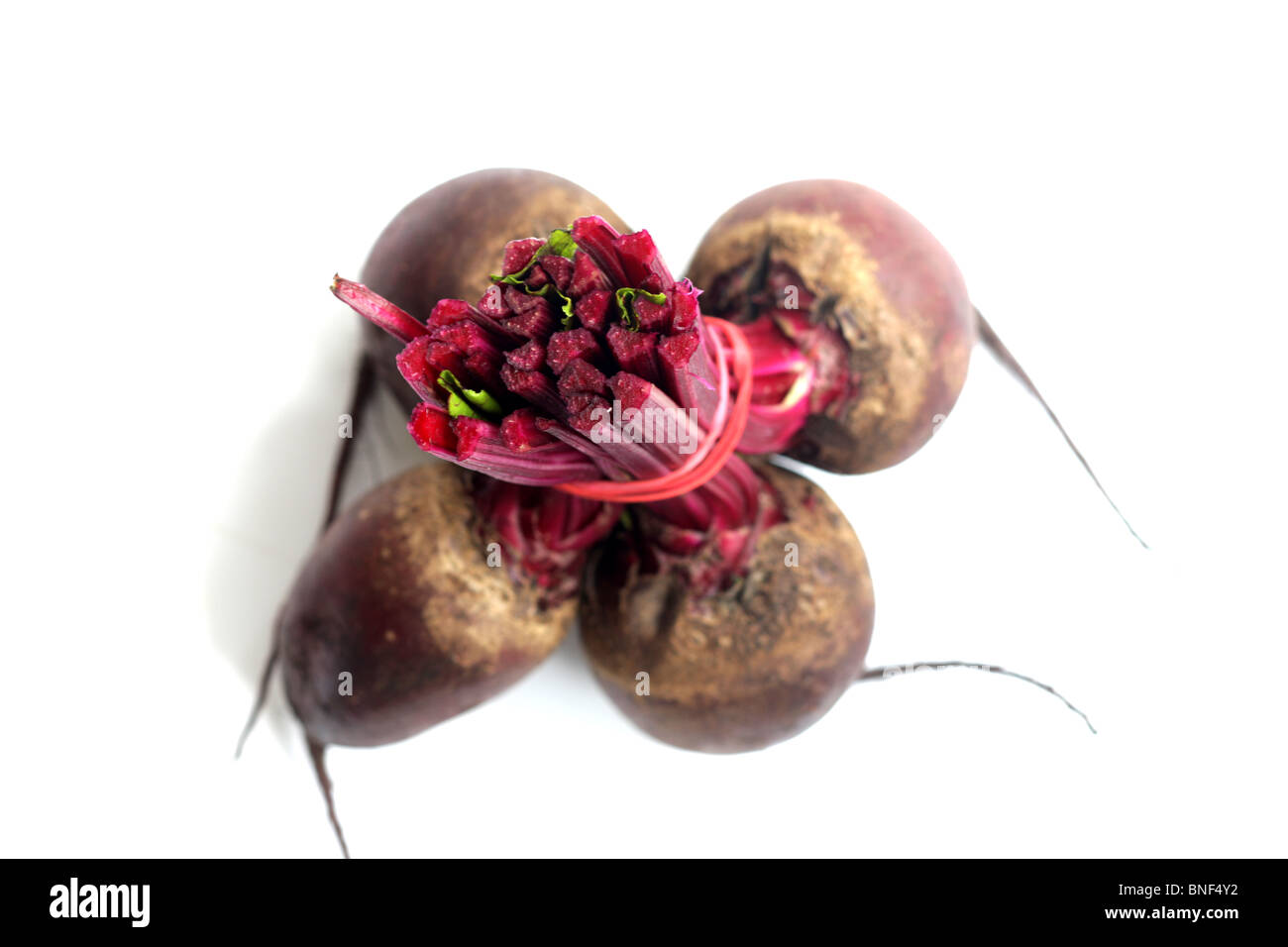 Bunch Of Healthy Ripe Beetroot Root Crop Ready To Cook Against A White ...