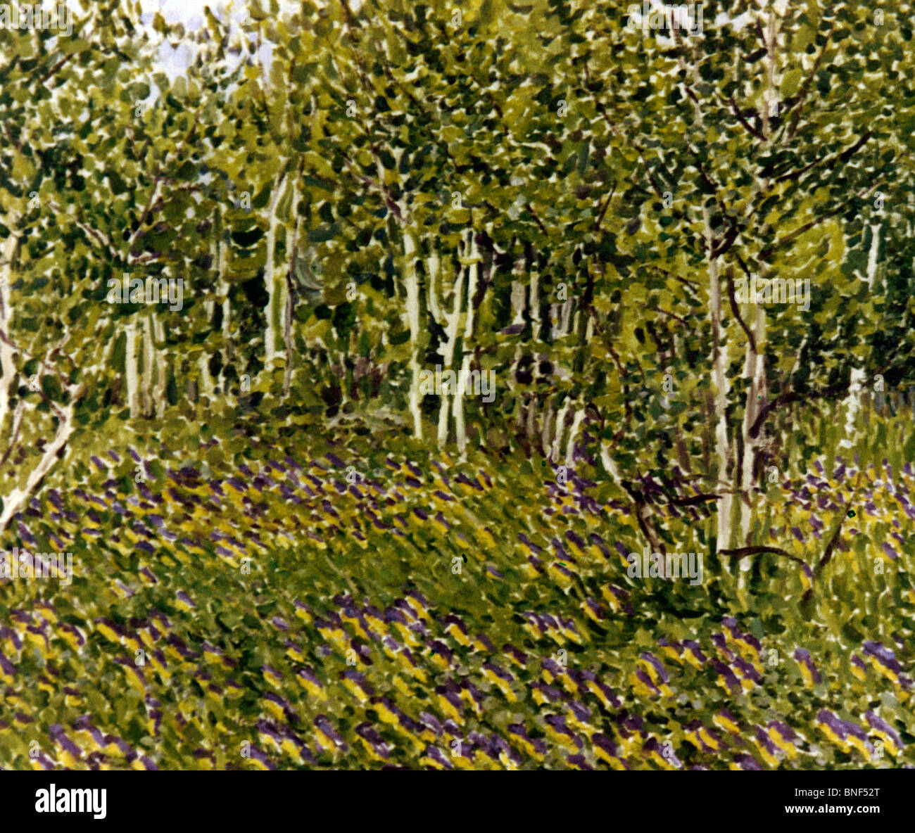 Lush trees painting hi-res stock photography and images - Alamy