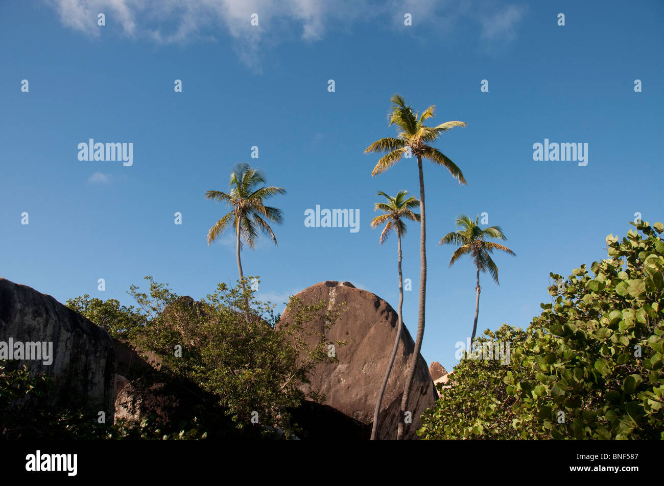 Rocks on the beach, The Baths, Virgin Gorda, British Virgin Islands ...