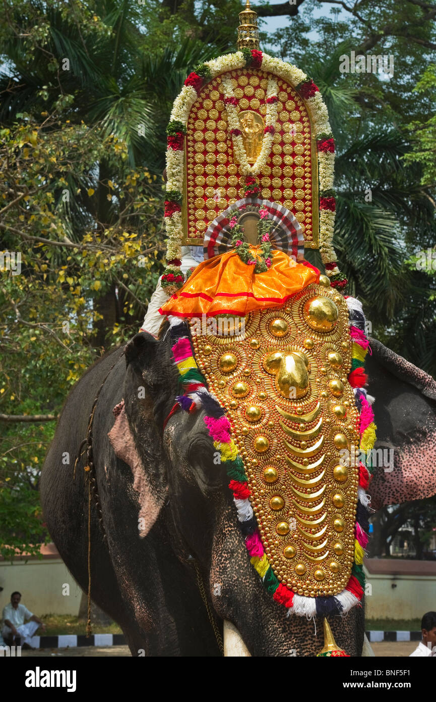Pooram elephant hi-res stock photography and images - Alamy