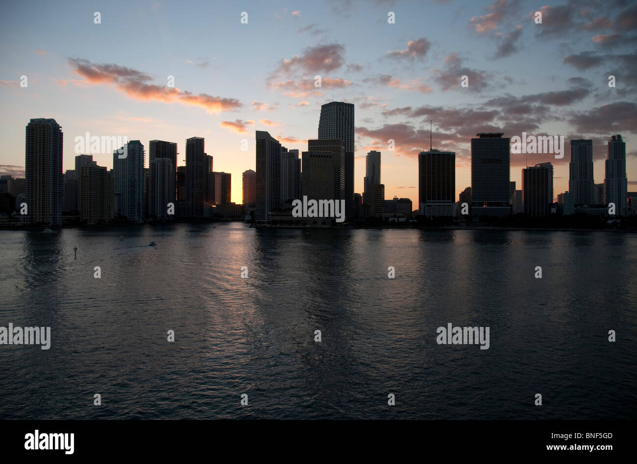 Buildings at the waterfront, Miami, Florida, USA Stock Photo - Alamy
