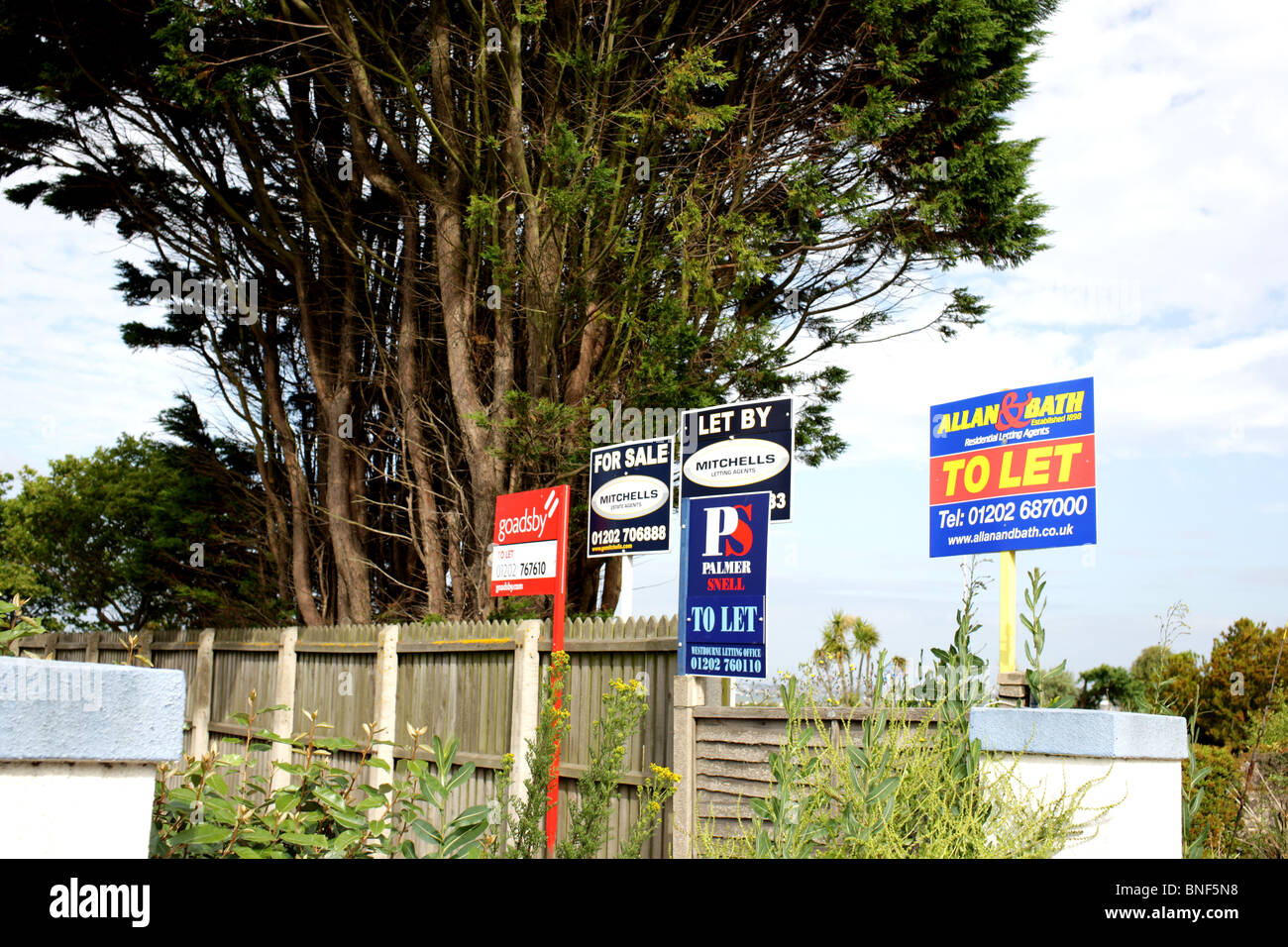 To Let Signs Stock Photo - Alamy