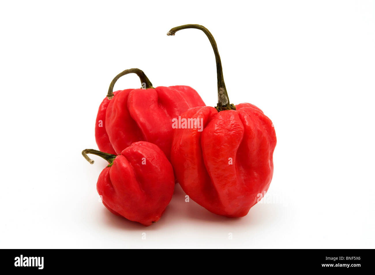 Sweet pimento peppers on a white background Stock Photo - Alamy
