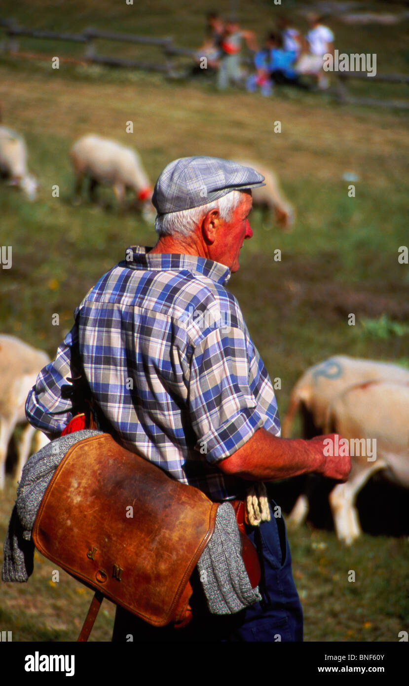 French country sheep hi-res stock photography and images - Alamy