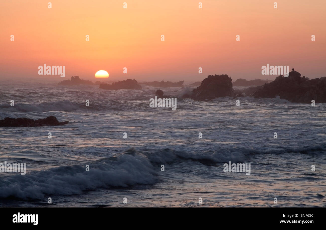 Waves breaking at sunset Stock Photo - Alamy