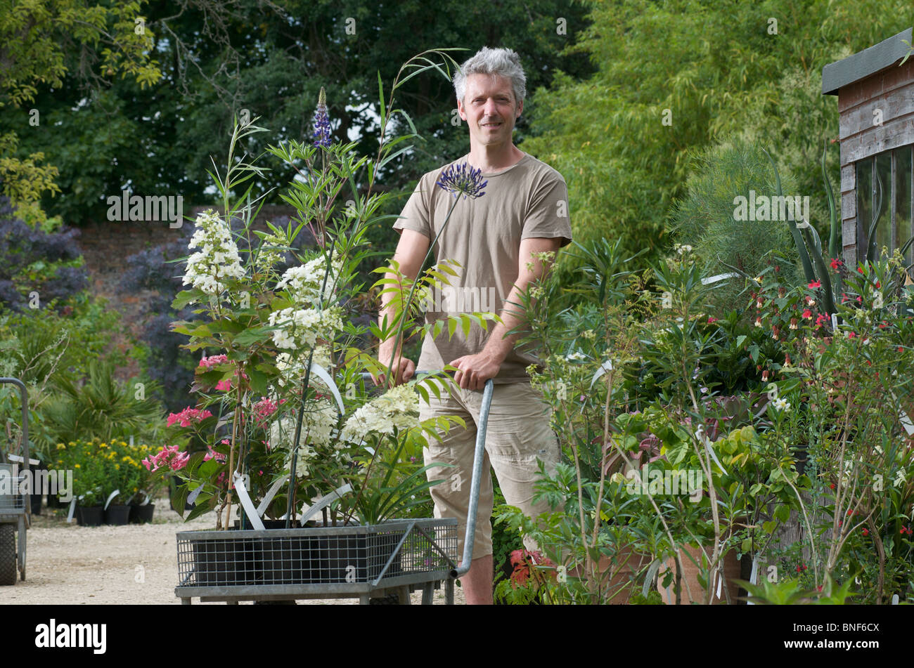 Nick Macer at his Pan-Global Plants nursery, Frampton Court, Glos. UK ...