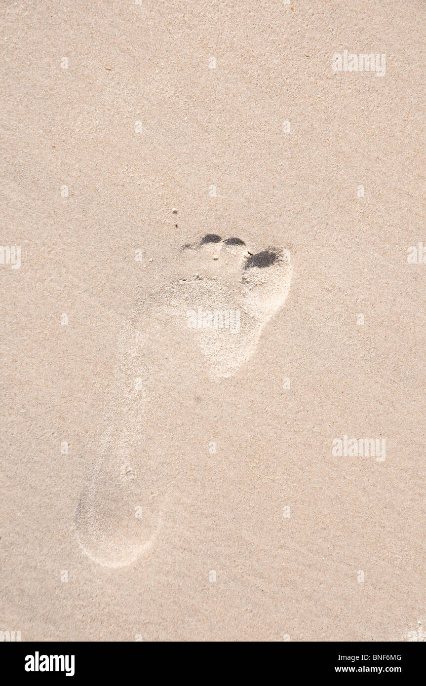 Dust and stones at the beach Stock Photo - Alamy