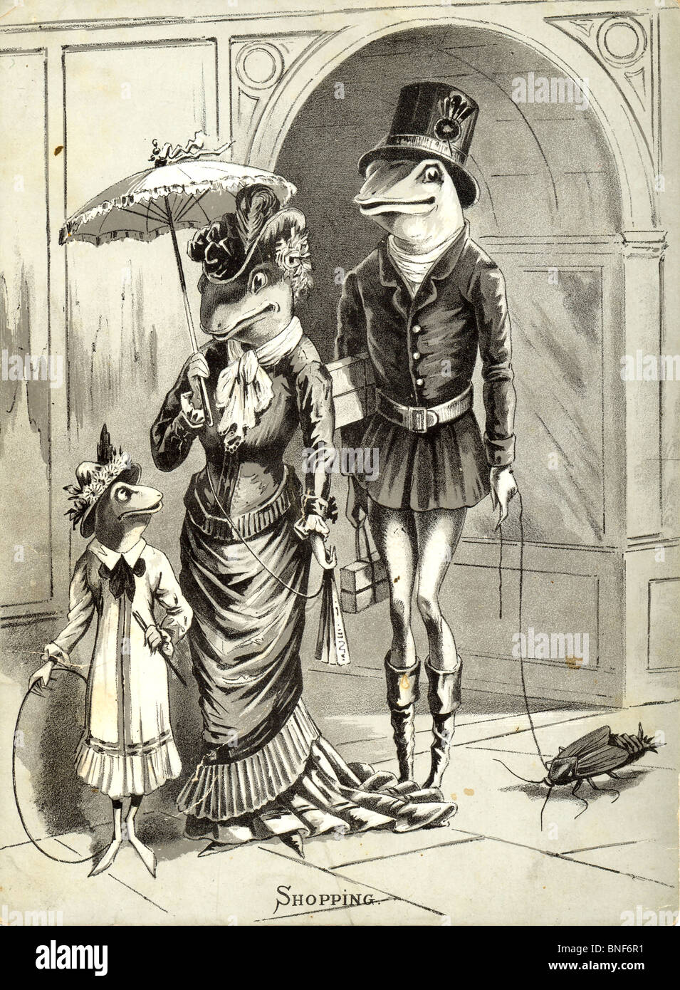 Frogs on a shopping expedition with attendant footman; anthropomorphic ...