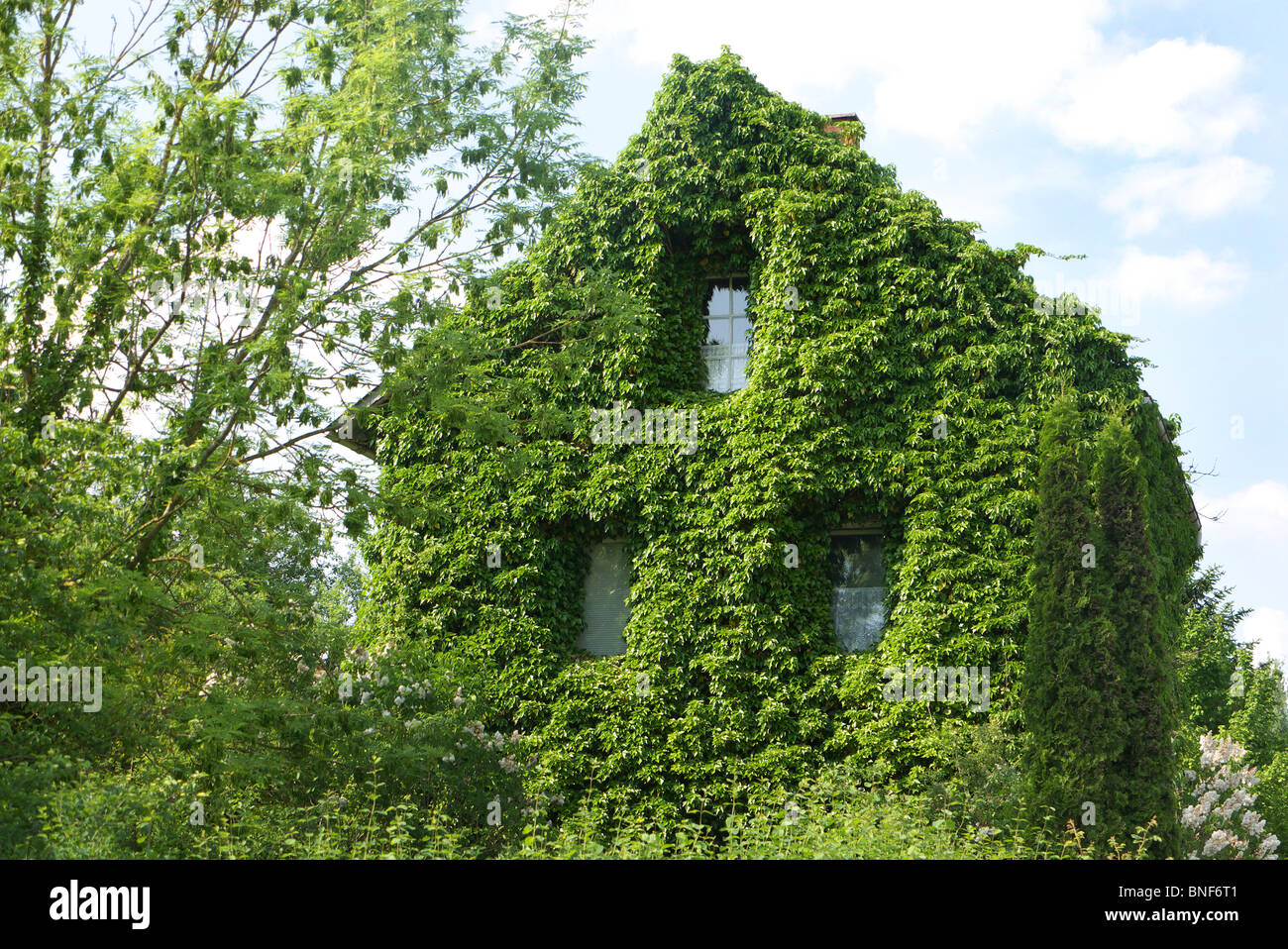 Become overgrown become overgrown hi-res stock photography and images ...