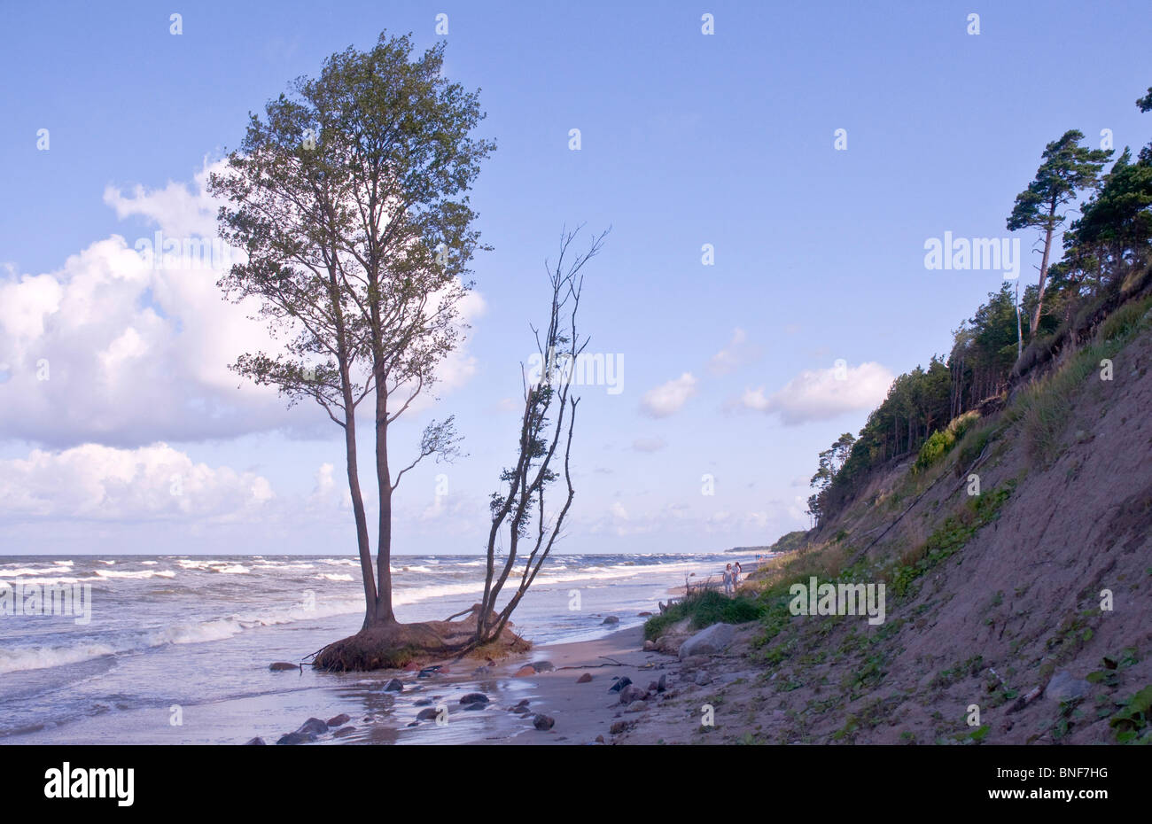 Baltic beach in Karkle Lithuania Stock Photo - Alamy