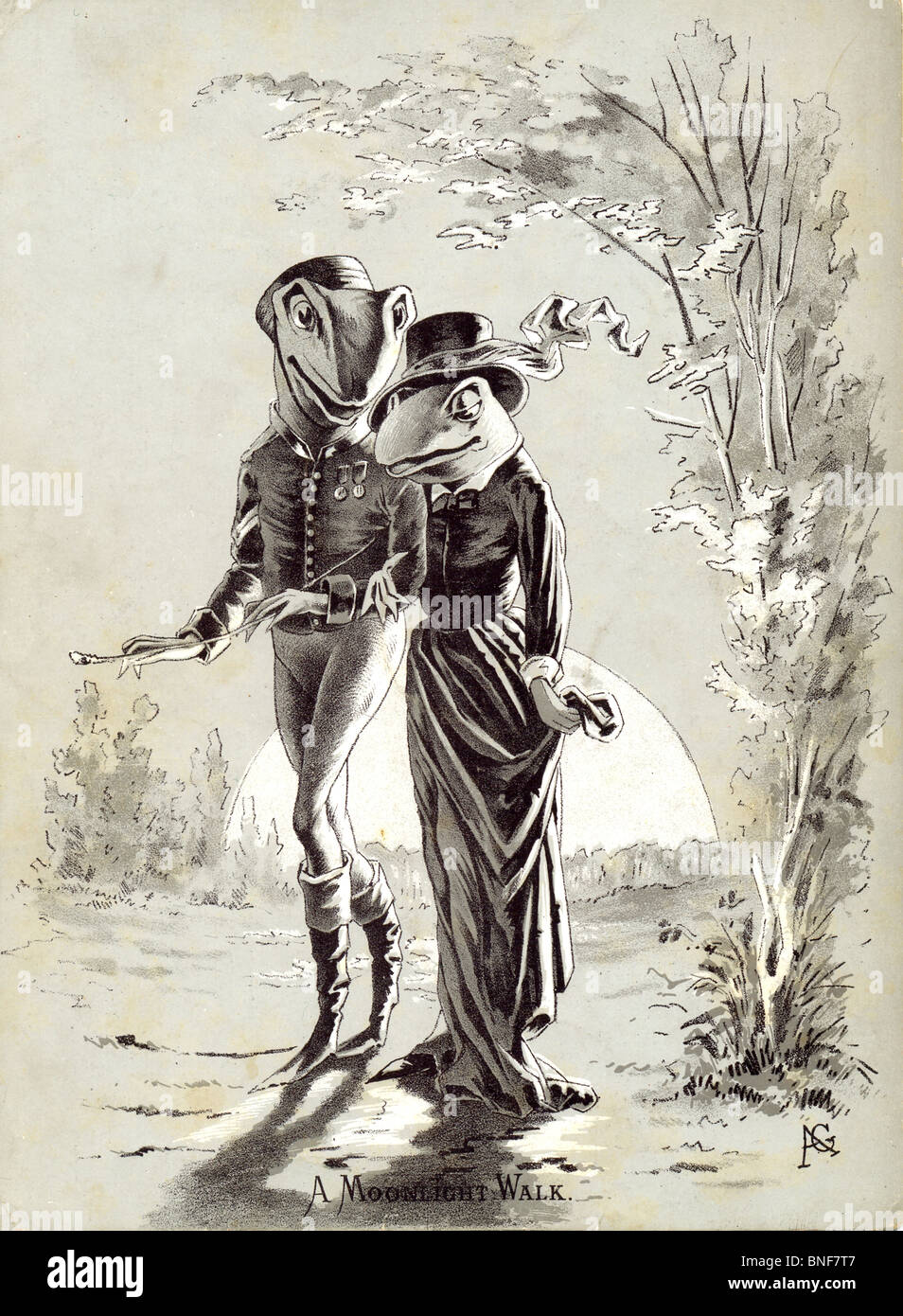 A Moonlight Walk taken by anthropomorphic frogs circa 1885 Stock Photo ...