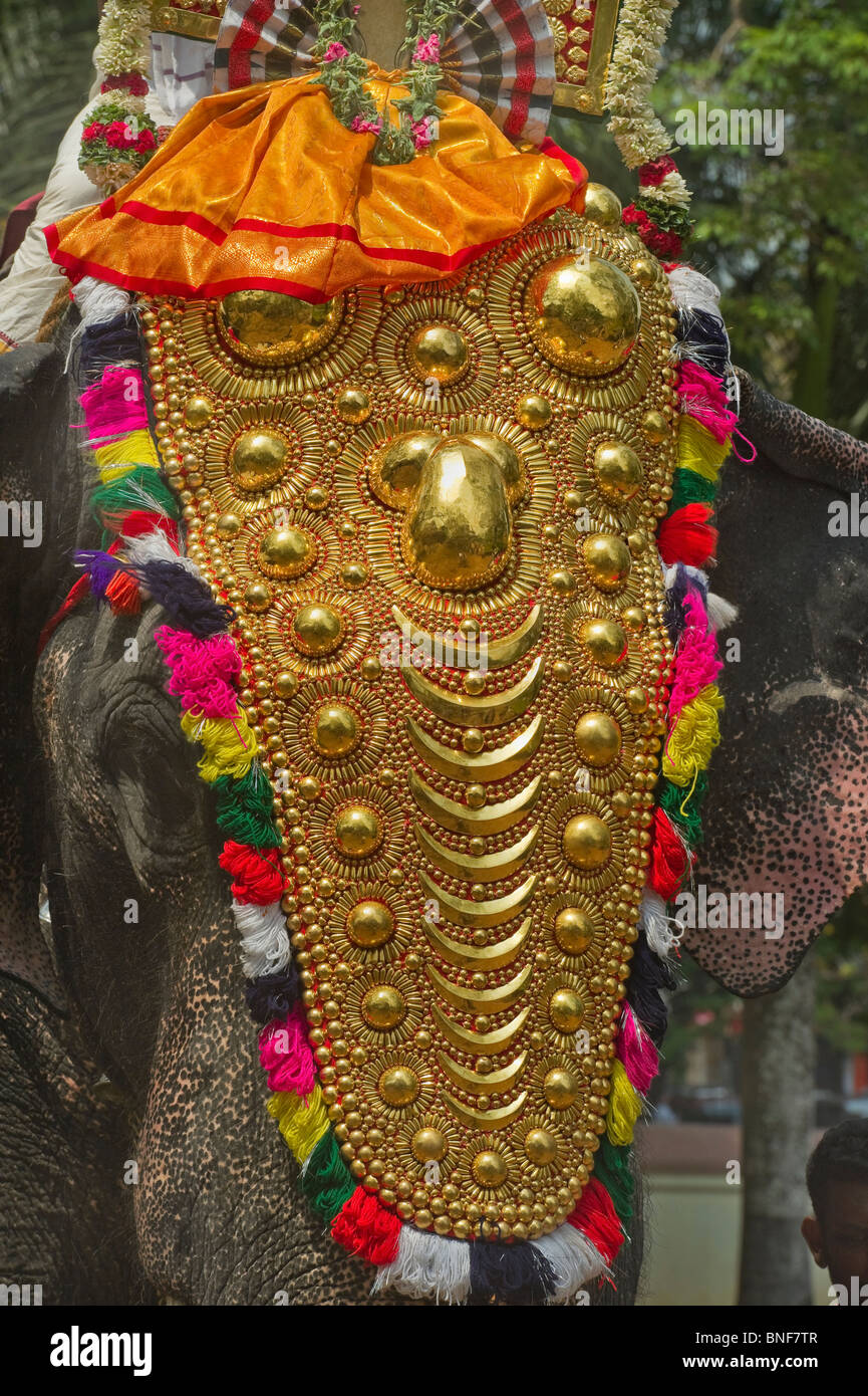 India Kerala Thrissur the golden harness of an elephant for the Pooram ...