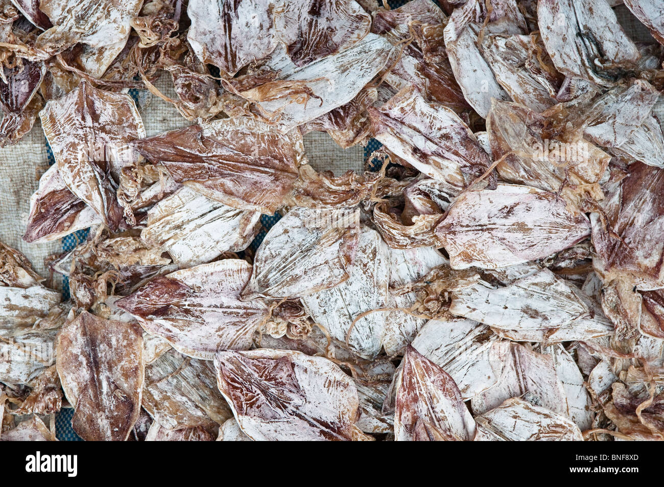 Hong Kong, dried fish in Sheung Wan Stock Photo - Alamy