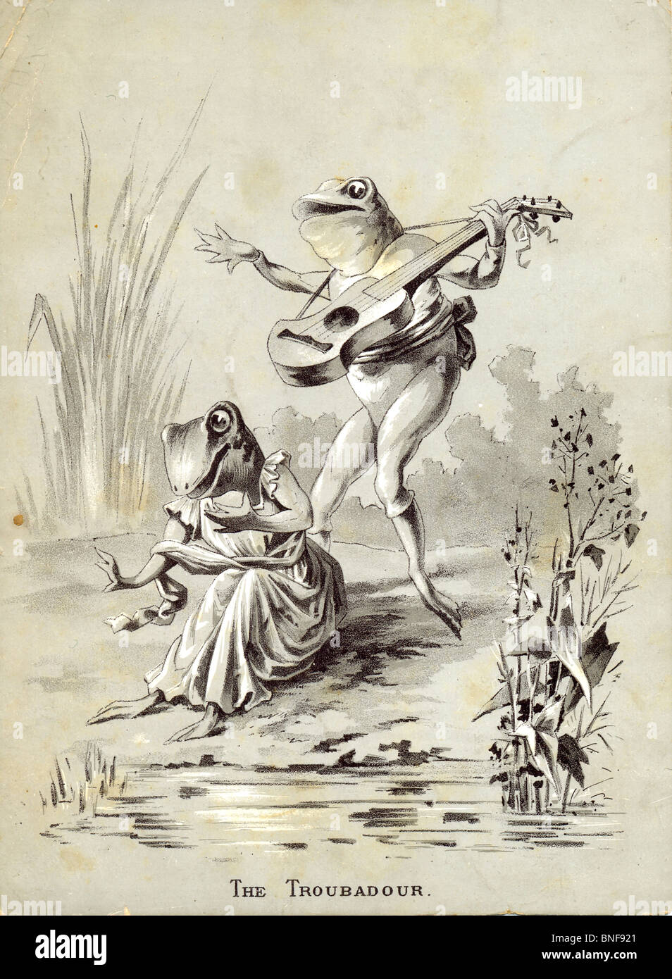 Boy serenading girl anthropomorphic frogs circa 1885 Stock Photo - Alamy