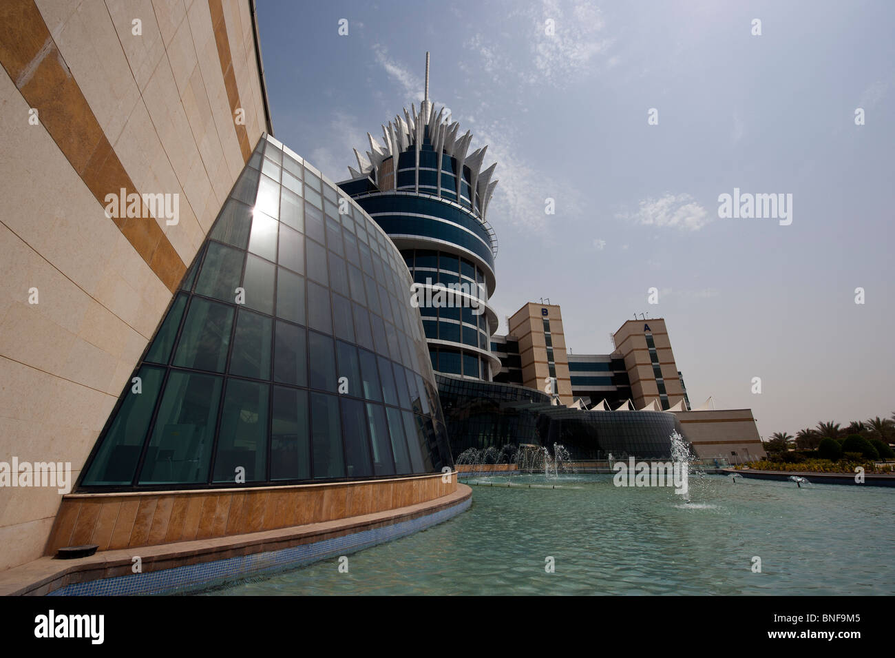 Pineapple Building in Silicon Oasis, Dubai, UAE Stock Photo - Alamy