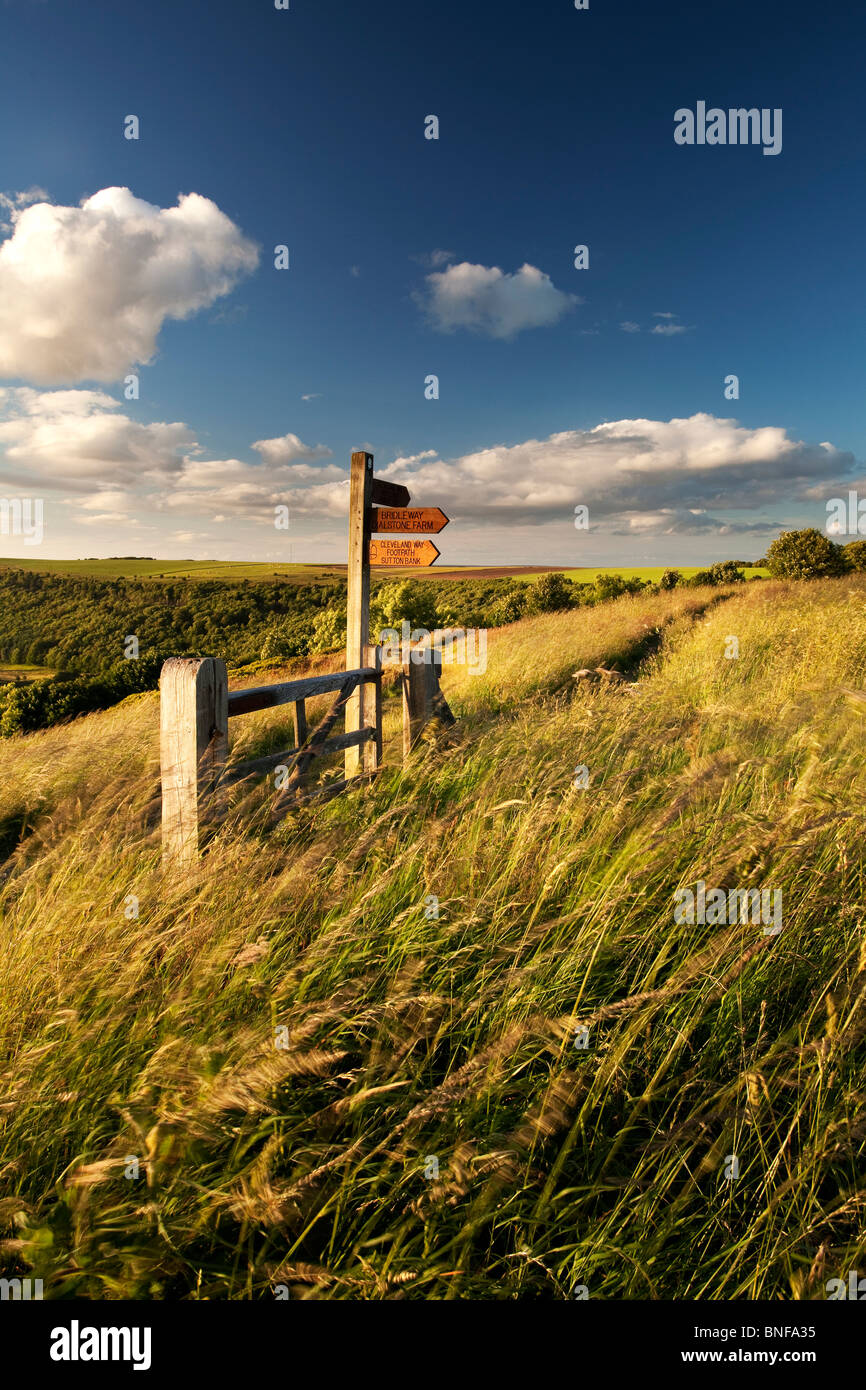 Footpath sign on the Cleveland Way north of Sutton Bank, North ...