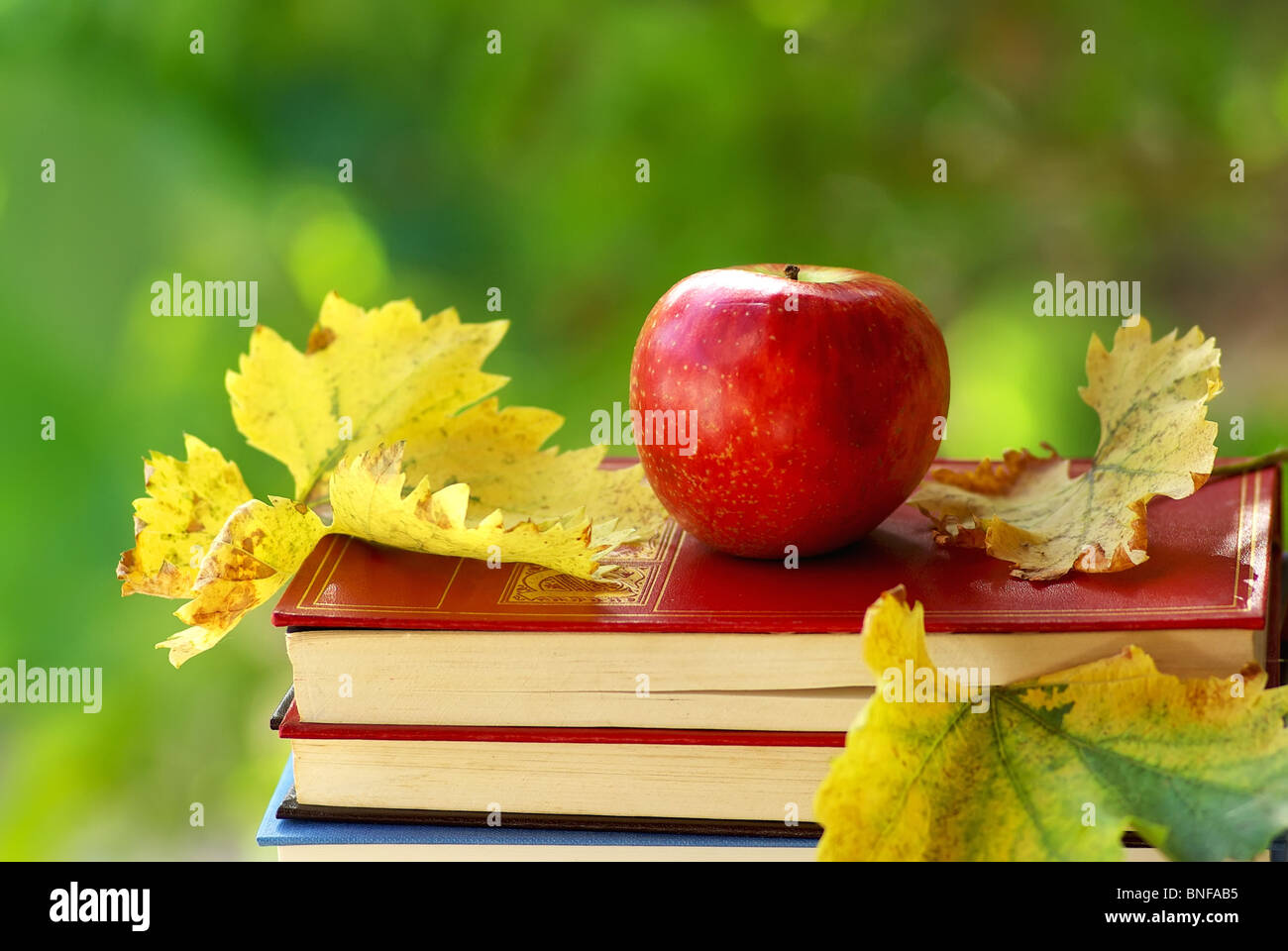 Red applle and books Stock Photo - Alamy