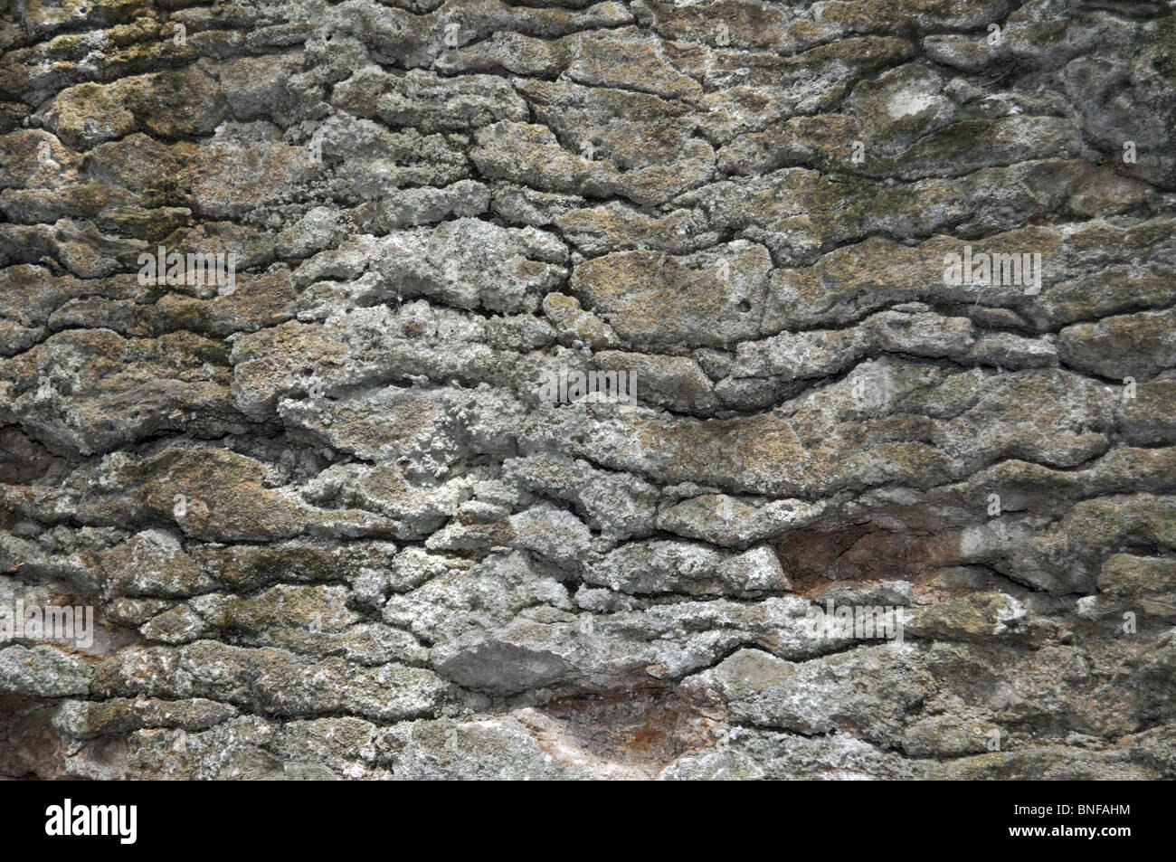 Limestone wenlock edge shropshire hi-res stock photography and images ...