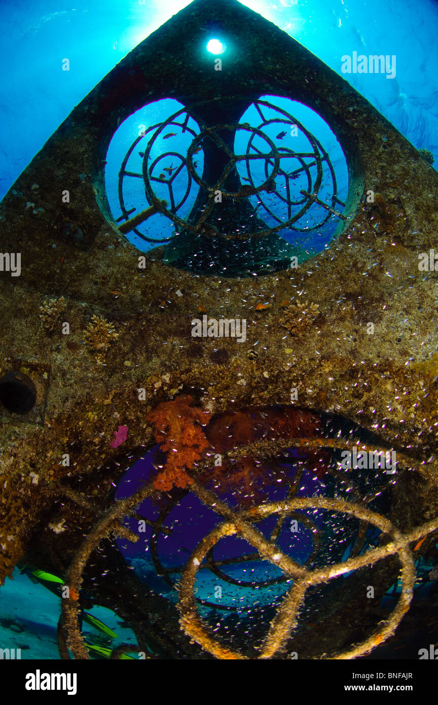 Israel, Eilat, Red Sea, – Underwater photograph of the Tamar Reef an ...