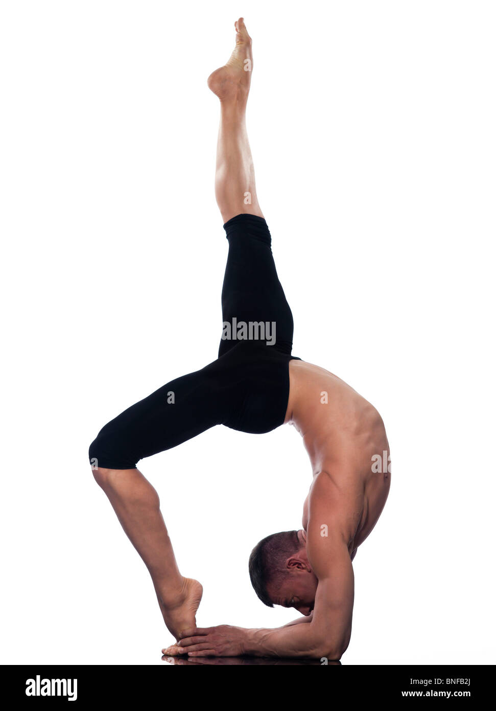 caucasian man Eka Pada Viparita Dandasana One-legged Inverted Staff ...