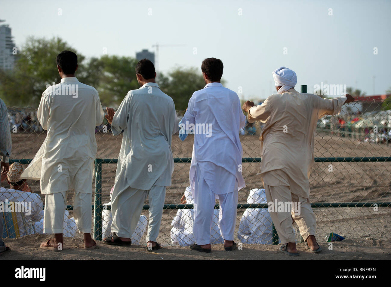 Bull butting hi-res stock photography and images - Alamy