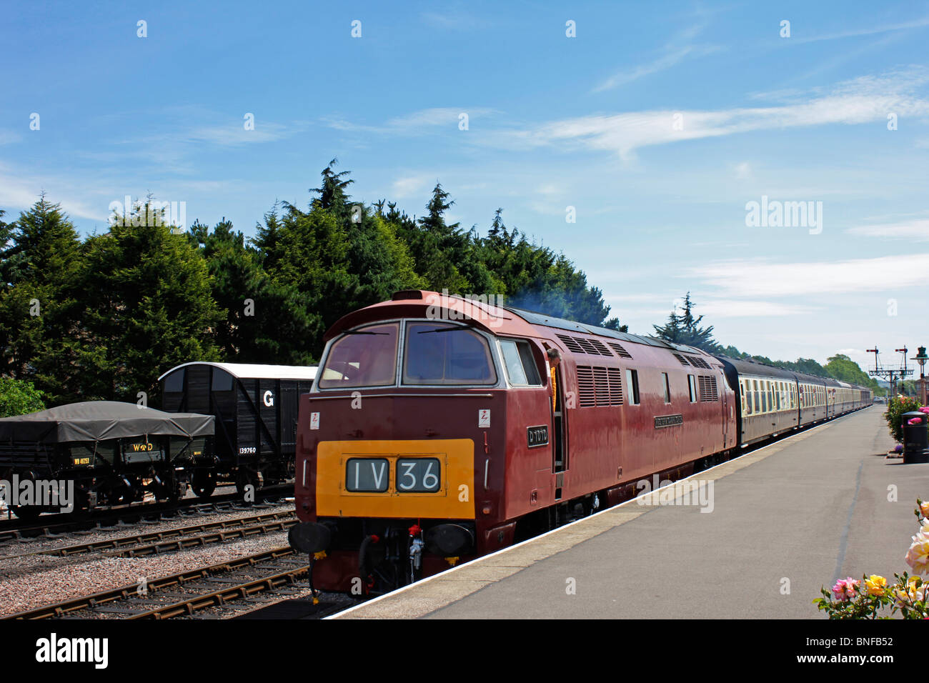 The preserved Western class diesel locomotive at Minehead station in Devon on the West Somerset ...