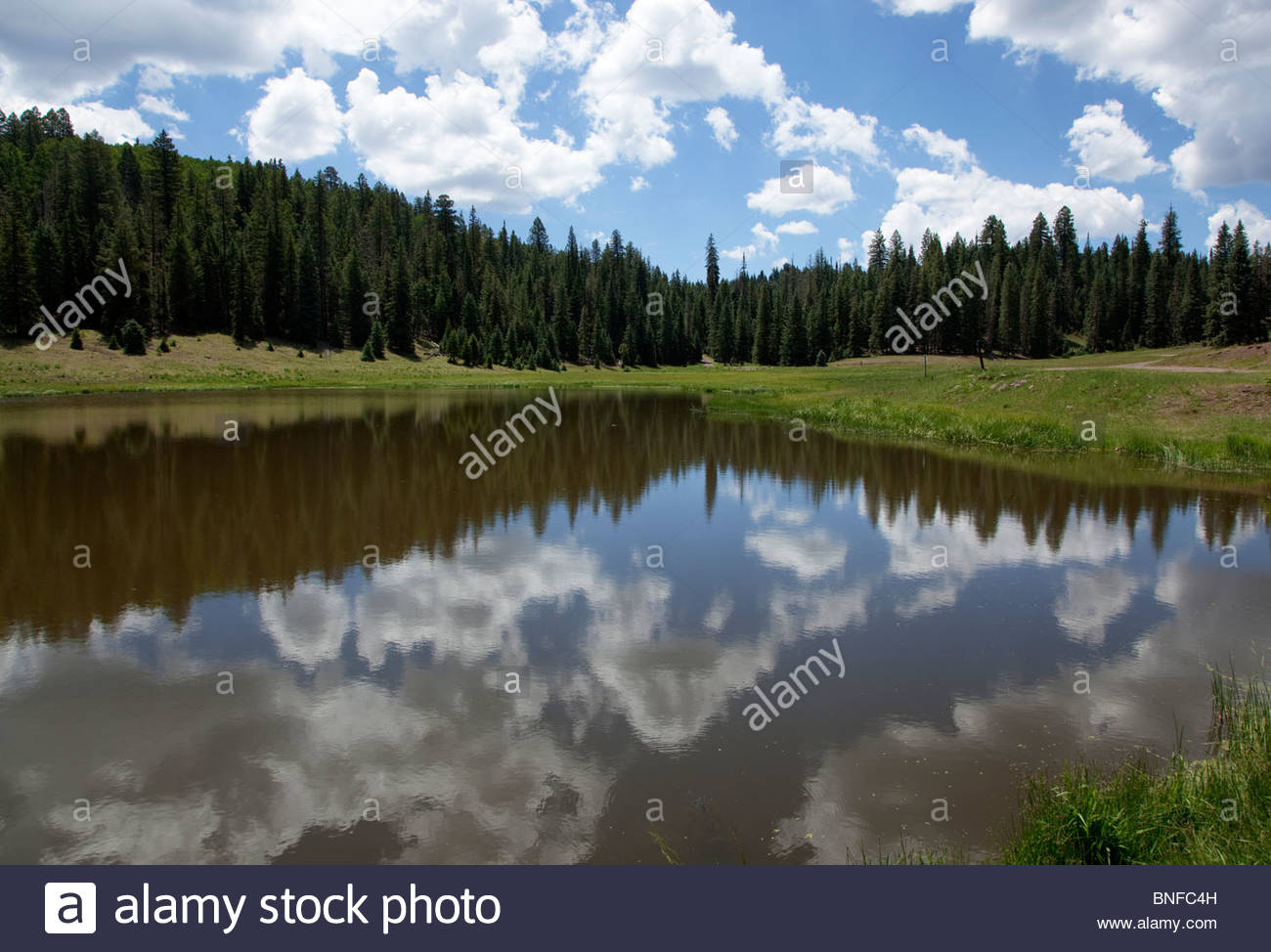 Aker High Resolution Stock Photography and Images - Alamy