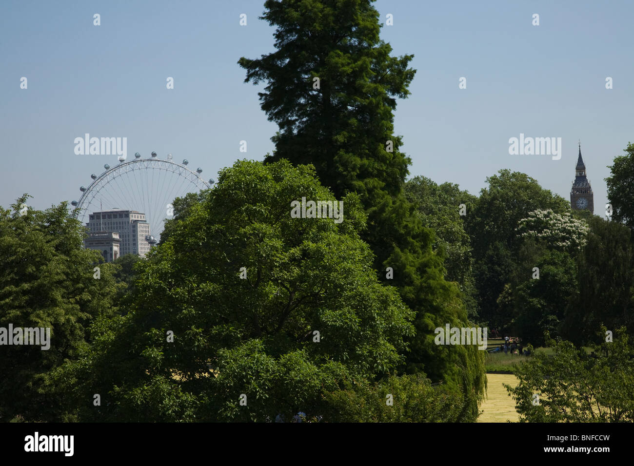 Big ben trees hi-res stock photography and images - Alamy