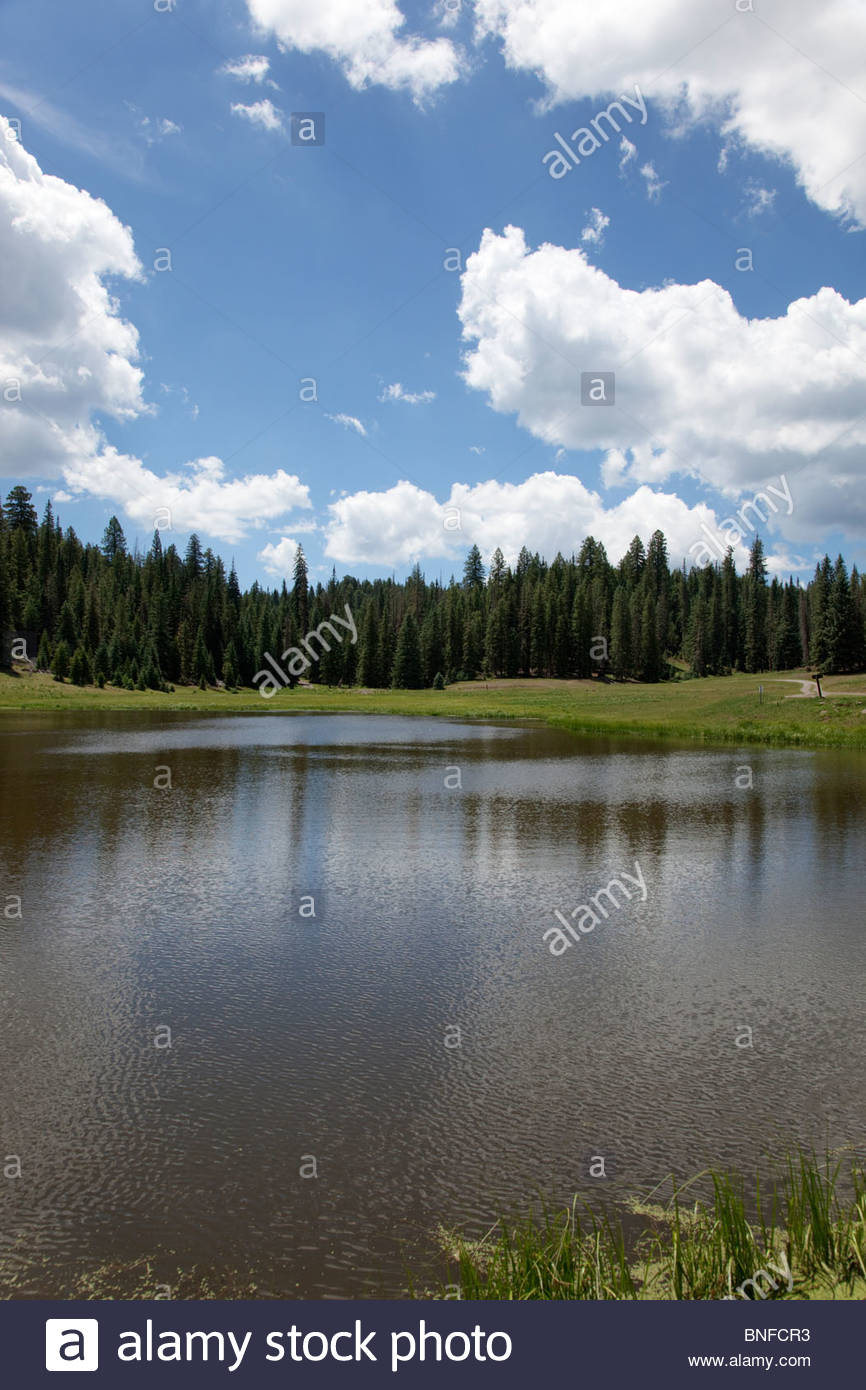 Aker High Resolution Stock Photography and Images - Alamy