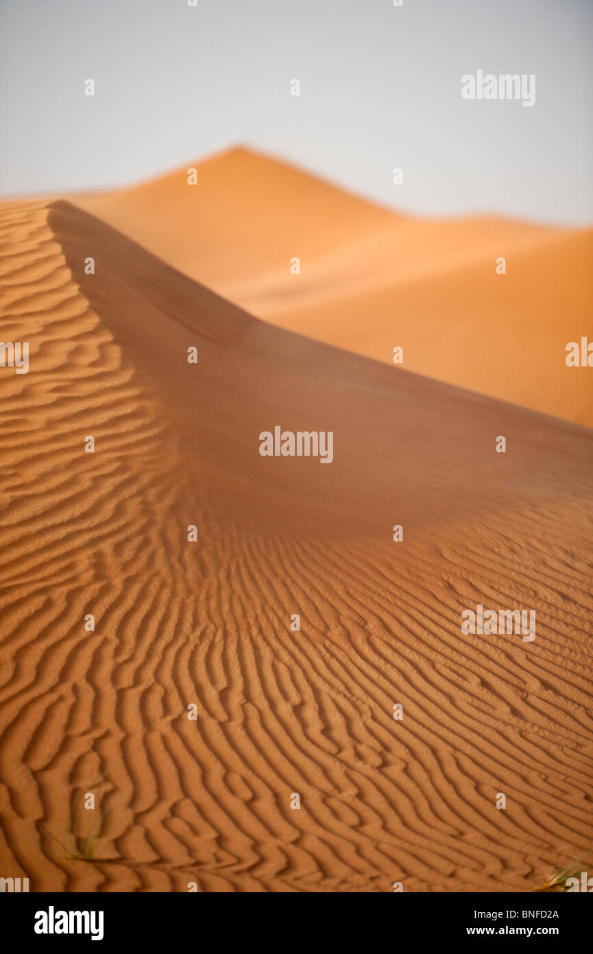 Sand dunes near Hatta, Dubai, UAE Stock Photo - Alamy