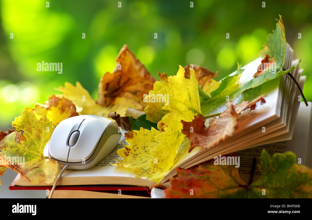 Mouse and leaves on book Stock Photo - Alamy