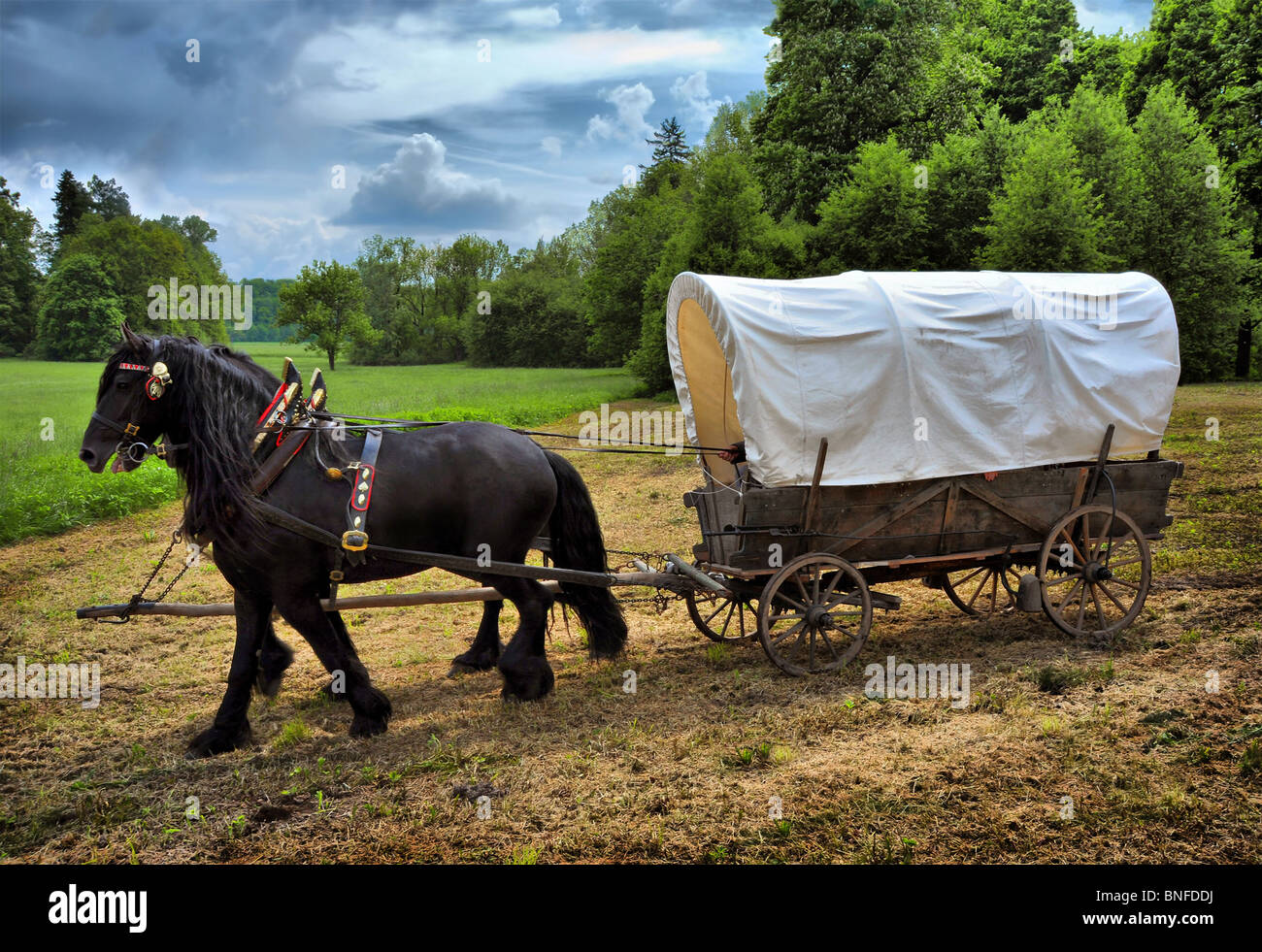 Covered wagon and horses hi-res stock photography and images - Alamy