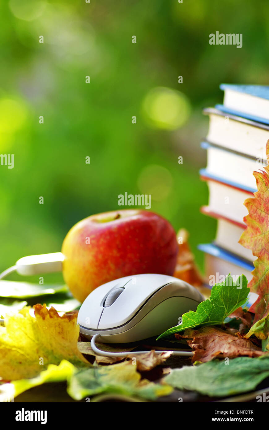 Mouse and red apple Stock Photo - Alamy