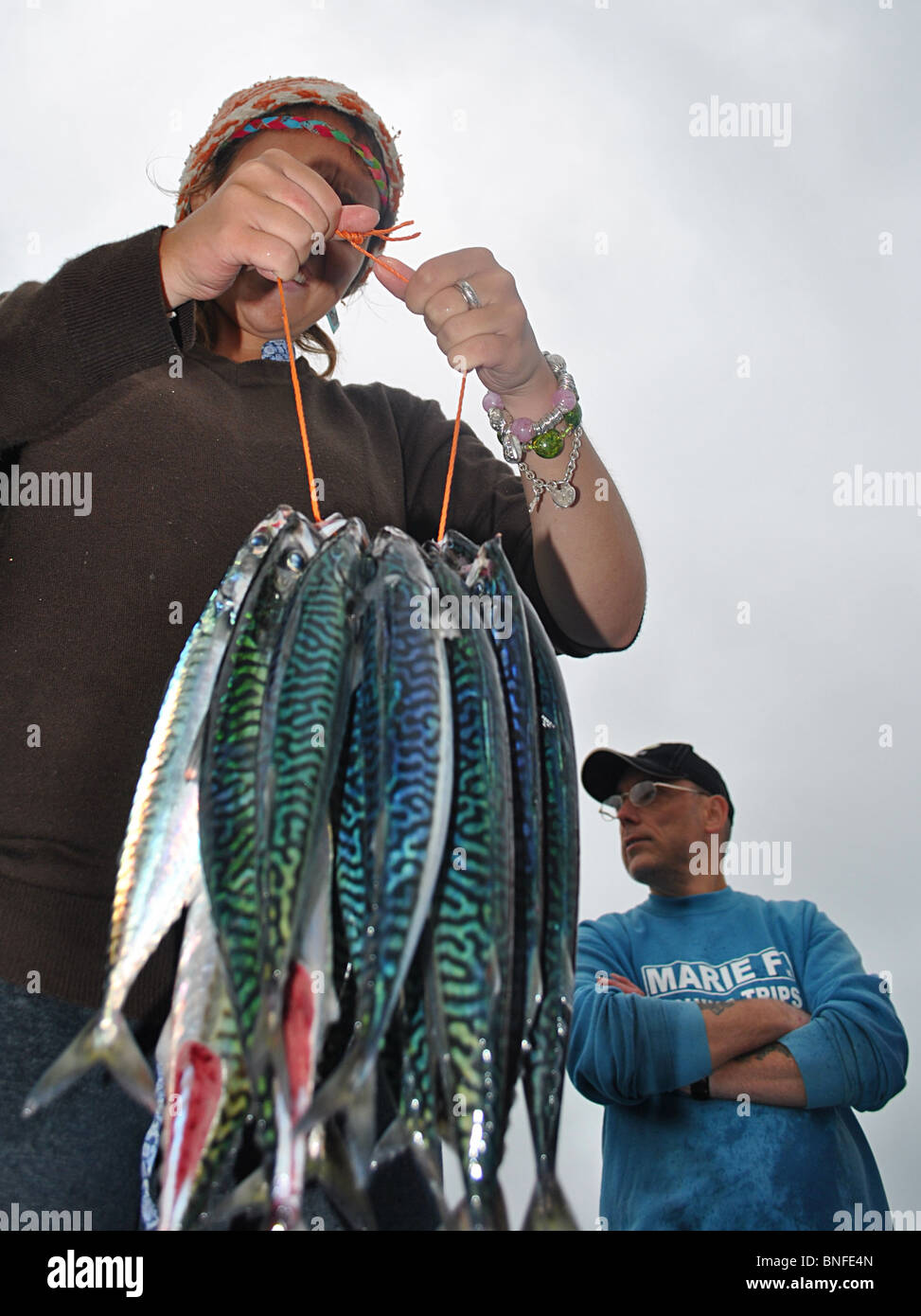 Mackerel Catch England High Resolution Stock Photography and Images - Alamy