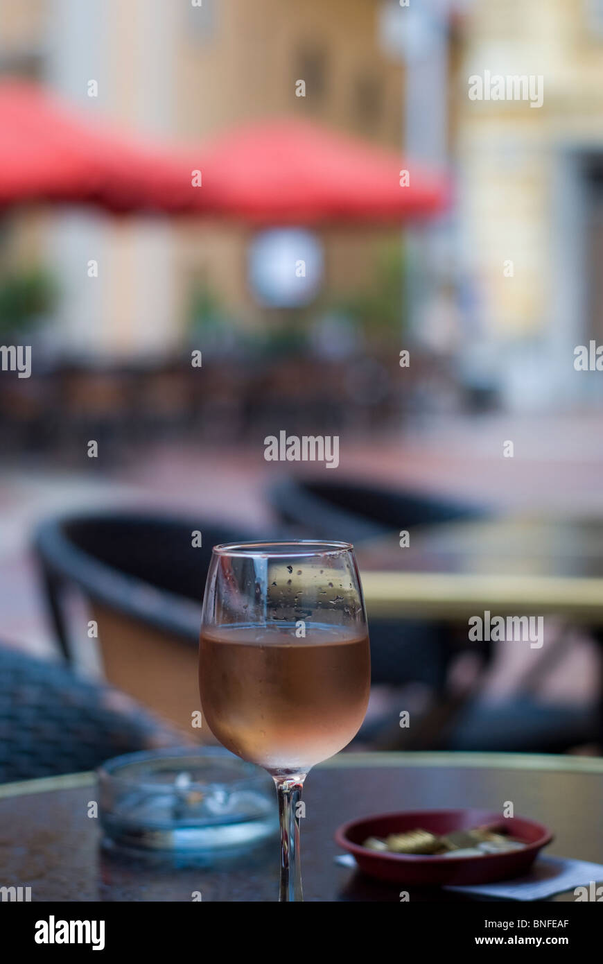 French Rose in Nice Stock Photo - Alamy